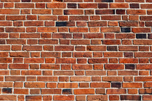 CANNED Brick Wall Free Stock Photo - Public Domain Pictures