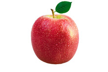 One Apple Free Stock Photo - Public Domain Pictures