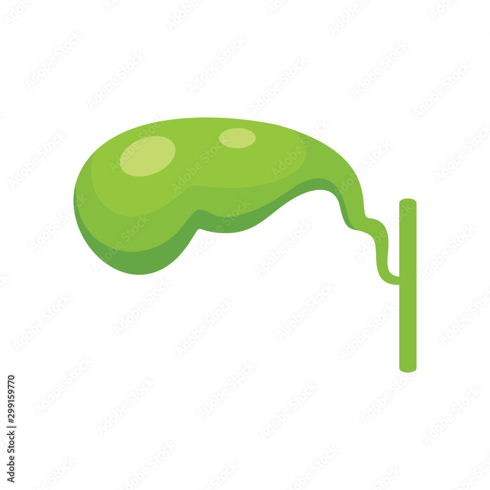 Body part gall bladder icon in flat style Stock Vector | Adobe Stock