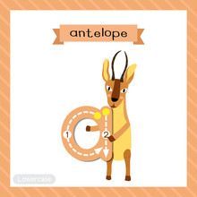 A Is For Antelope ABC 1923 Free Stock Photo - Public Domain Pictures