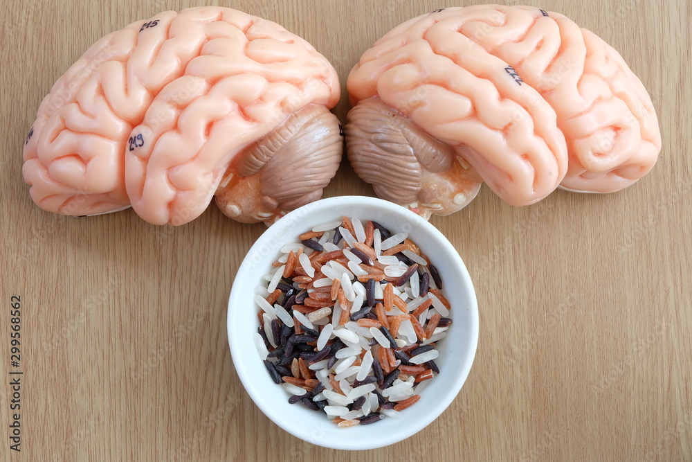 variety of rice and human brain anatomy Stock Photo | Adobe Stock