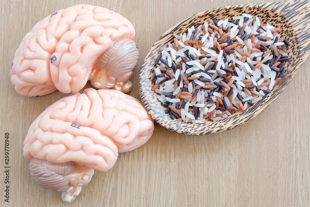 variety of rice and human brain anatomy model with healthy concept ...
