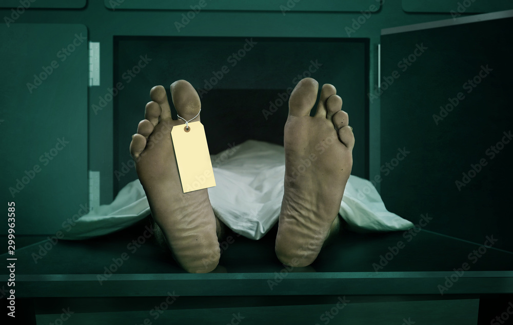 Male human body lying dead at morgue capsule with blank identification ...