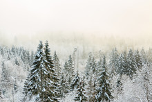 Winter Scene Free Stock Photo - Public Domain Pictures