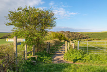 Countryside Trail, Sussex, England Free Stock Photo - Public Domain ...
