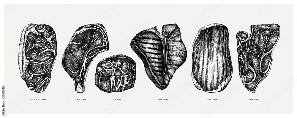 Raw meat top view sketches collection. Vector illustrations of Filet ...