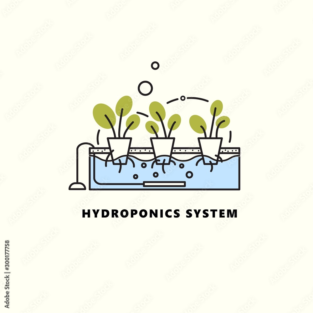Hydroponics system. Vector illustration in outline style. Home ...