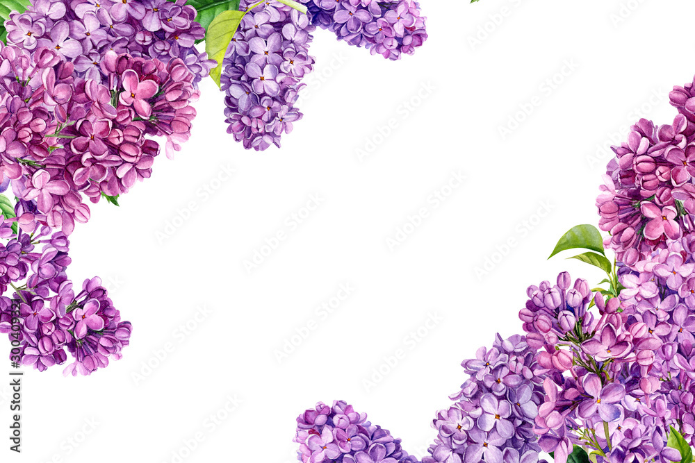 frame of lilac flowers on an isolated white background, watercolor ...