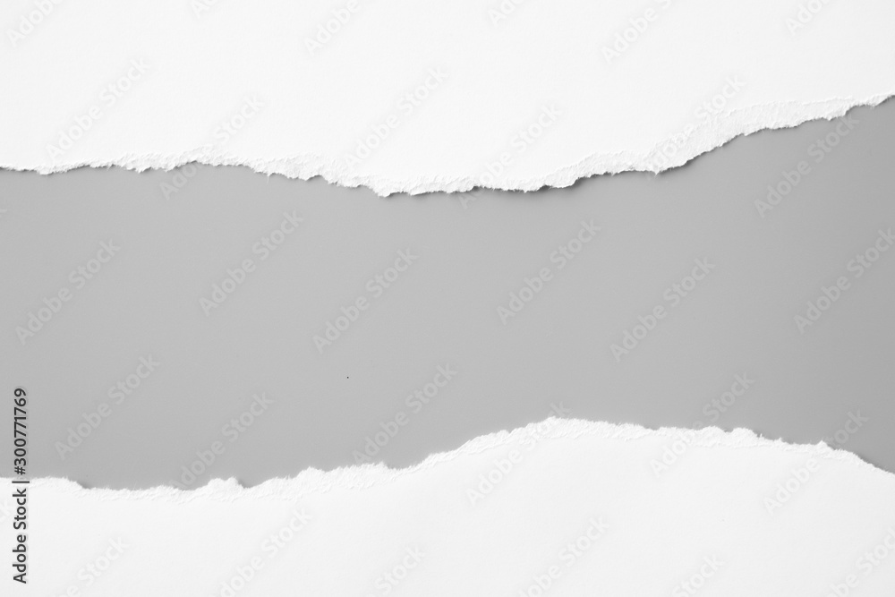 white torn paper on gray background. collection paper rip Stock Photo ...