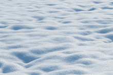 Deep Snow Free Stock Photo - Public Domain Pictures