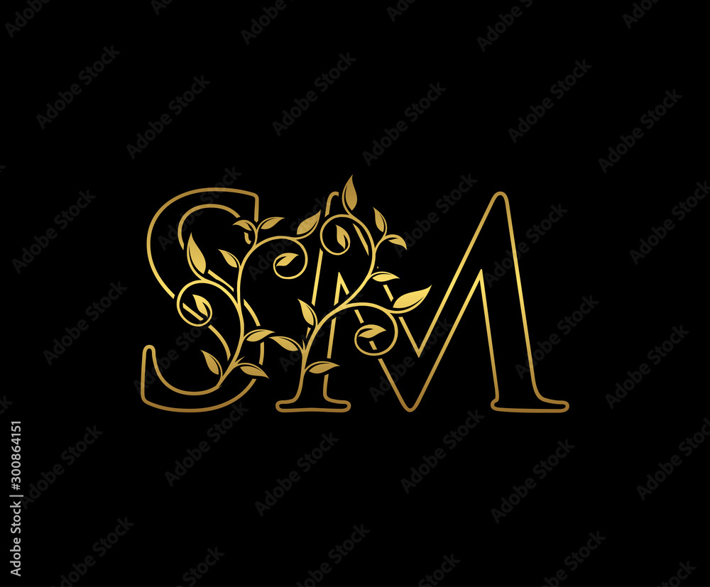 Golden letter S and M, SM vintage decorative ornament emblem badge ...