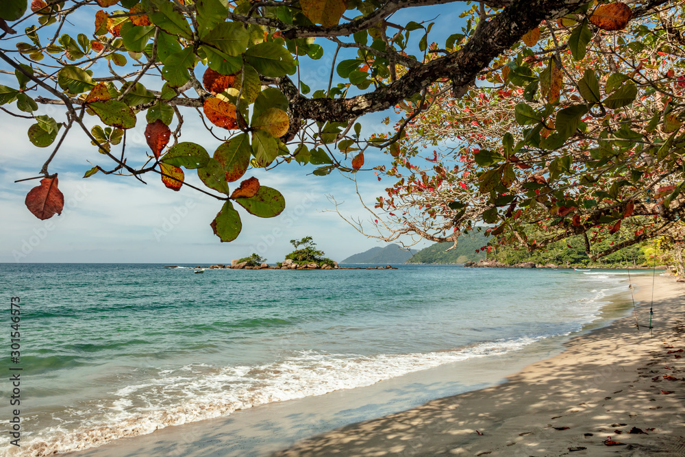 One of the most beautiful beaches in Brazil, Castelhanos Beach is an ...