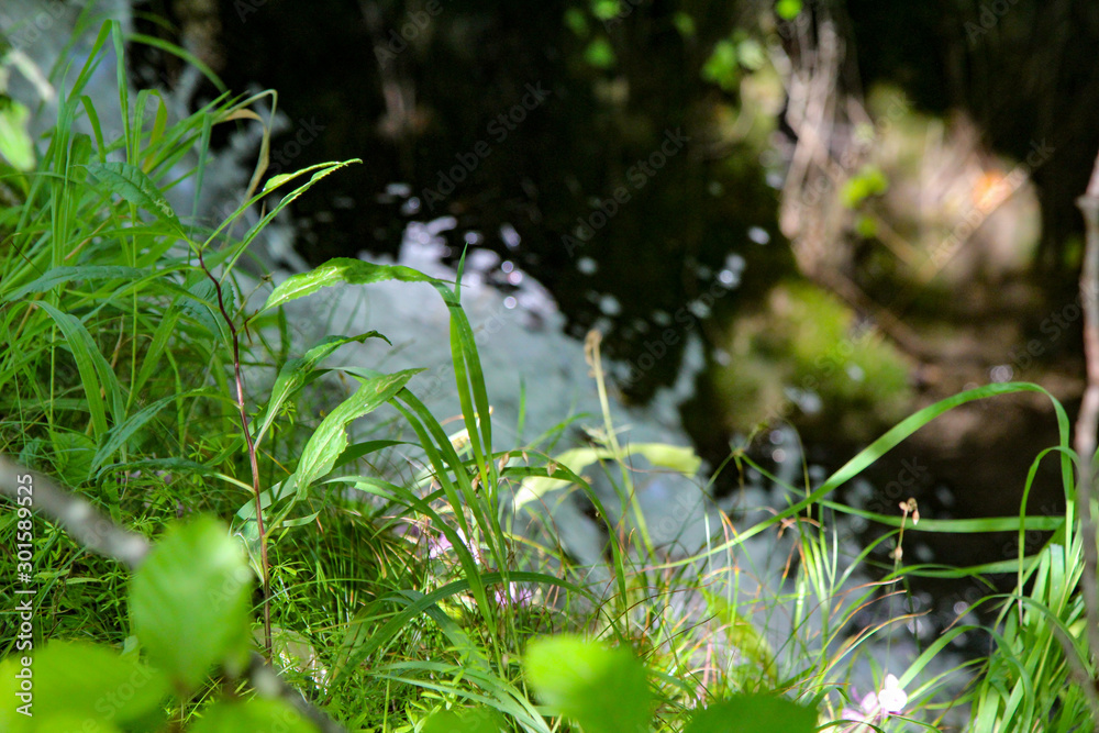 Plitvice Lakes National Park. Croatia’s most popular tourist attraction ...