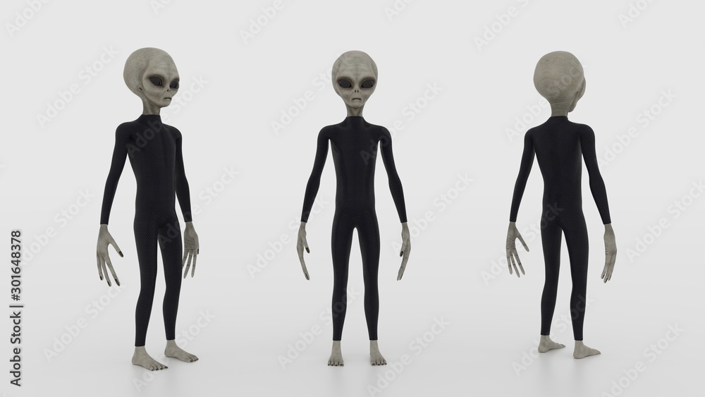 Alien Grey Front Side and Back perspective extremely detailed and ...