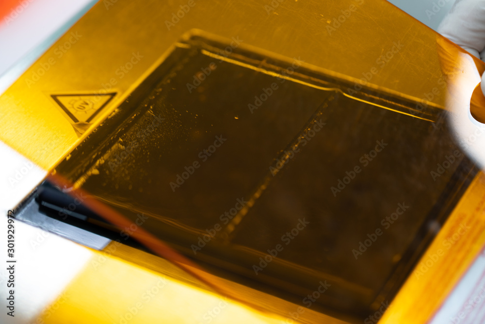 Polymerase Chain Reaction (PCR) and Agarose gel electrophoresis is a ...