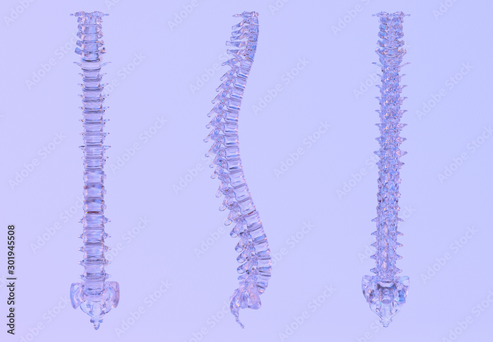 Ilustración de Stock Human body vertebrae anatomy. Transparent glass ...