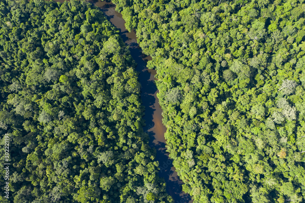 View from above, stunning aerial view of a tropical rainforest with the ...