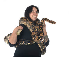 Common Northern Boa Free Stock Photo - Public Domain Pictures