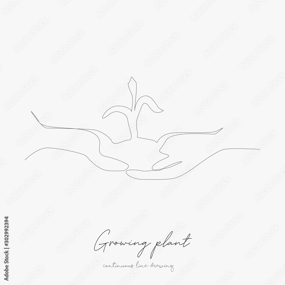 continuous line drawing. growing plant. simple vector illustration ...