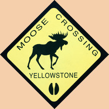 Yellowstone Warning Sign Free Stock Photo - Public Domain Pictures