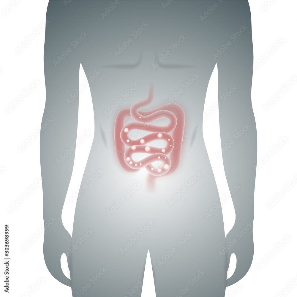 Abstract medical vector illustration of male silhouette with intestine ...