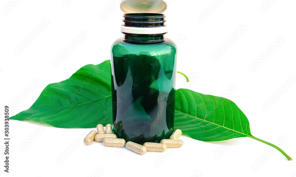 capsule on kratom leaf (Mitragyna speciosa) Mitragynine isolate on ...
