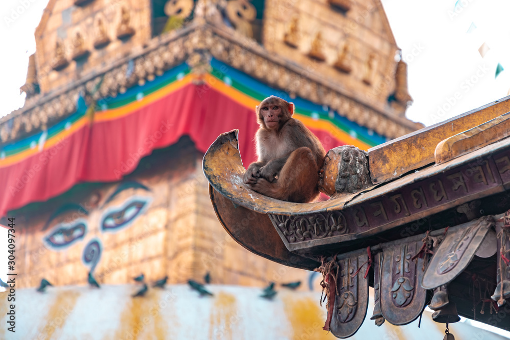 Swayambhunath Stupa, aka The Monkey Temple, during sunrise in Kathmandu ...