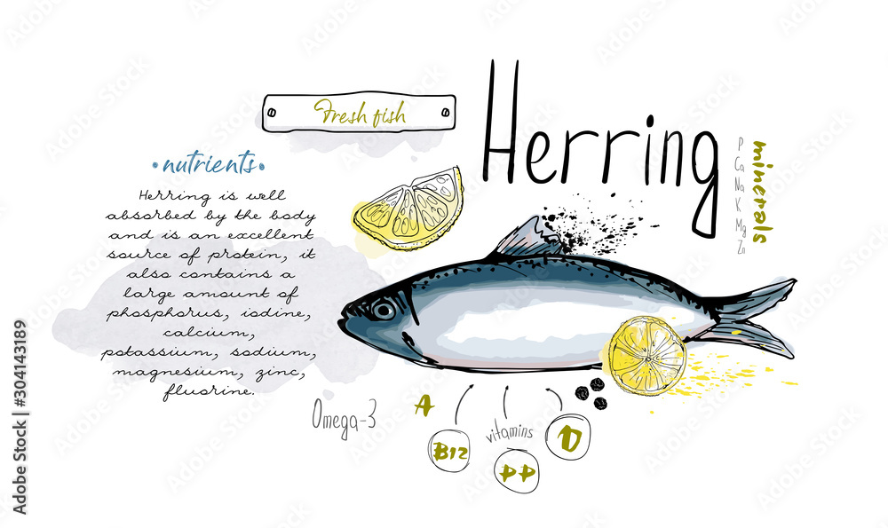 Fish hand drawn set watercolor ink, food vitamin menu restaurant ...