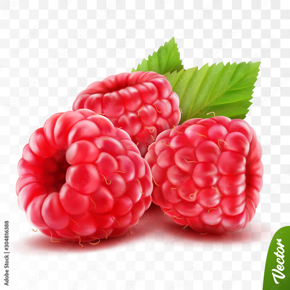 3d realistic isolated vector whole and slice of raspberry with leaves ...