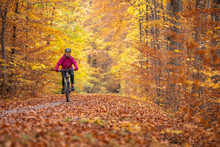 Fall Bike Path Free Stock Photo - Public Domain Pictures
