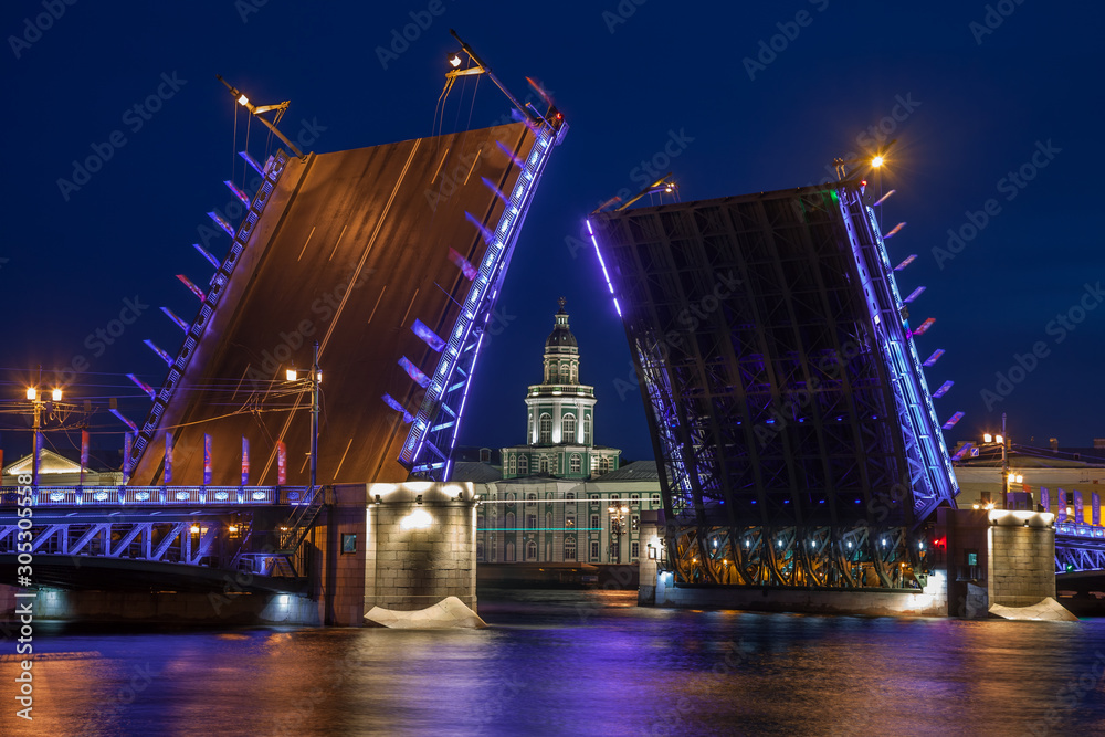 Double-leaf bascule bridge (Palace Bridge) and Cabinet of curiosities ...