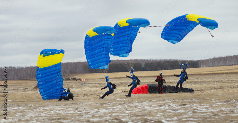 Landing skydiver with a parachute. Composite panoramic shot of the ...