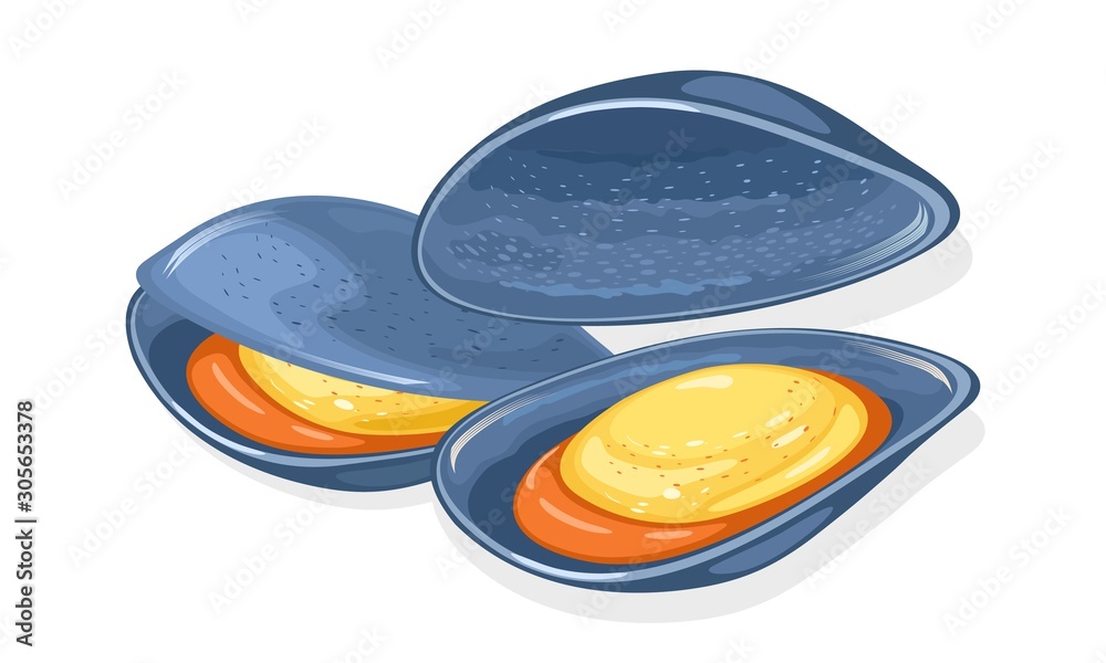 Opened blue marine mussels, oysters. Fresh delicious seafood. Bivalve ...