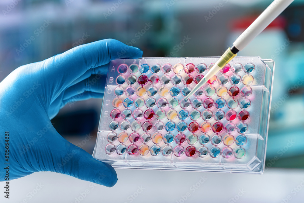 Stock-Foto „Scientist hand holding microplate for biomedical research ...