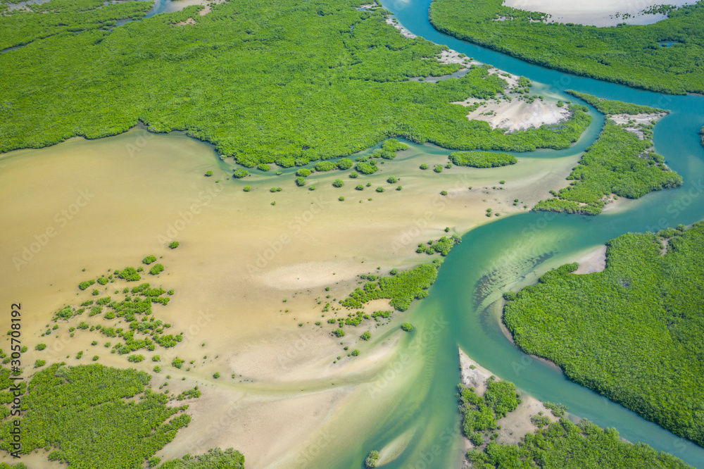 Senegal Mangroves. Aerial view of mangrove forest in the Saloum Delta ...