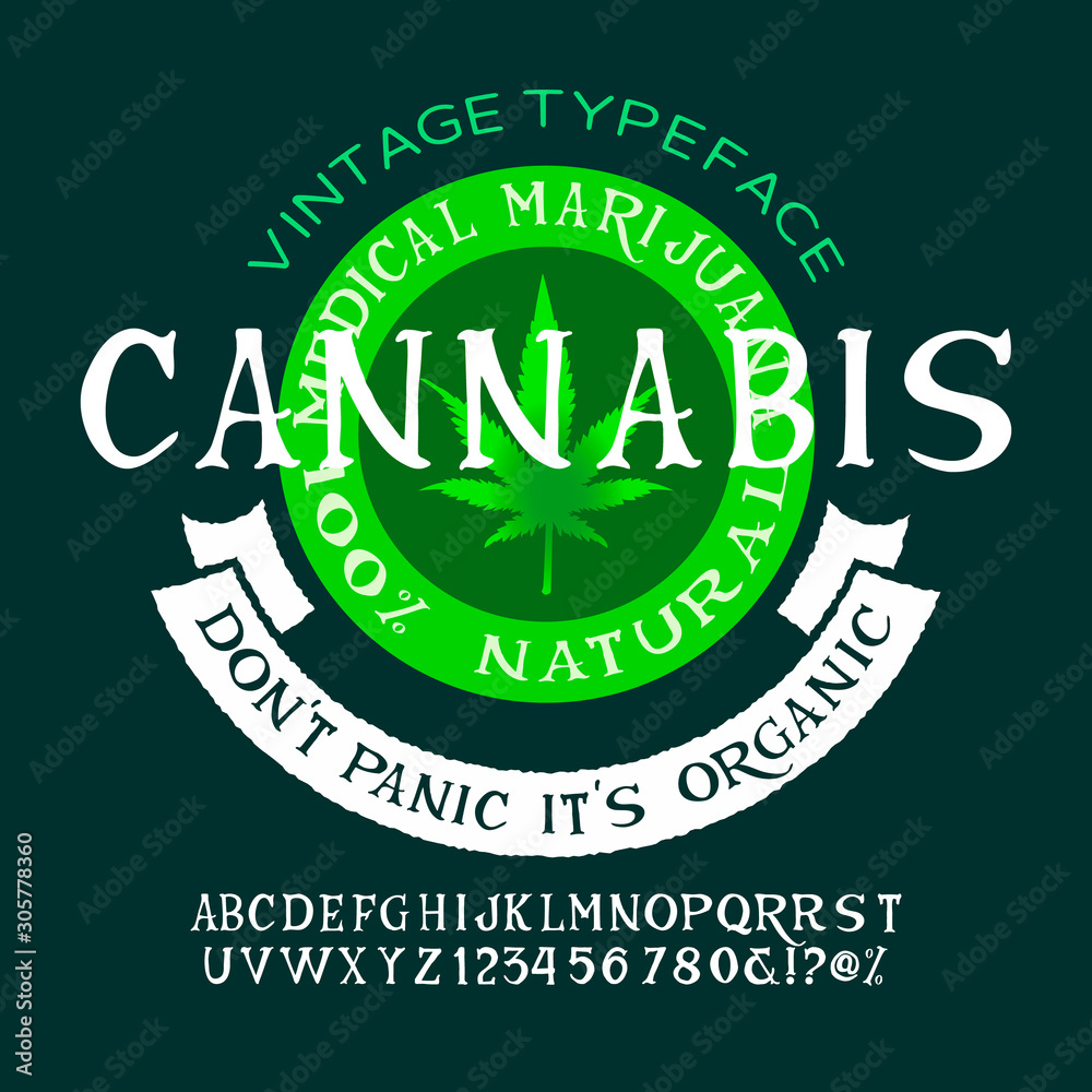 Handmade vector font, and alphabet with serifs. A badge with the leaf ...