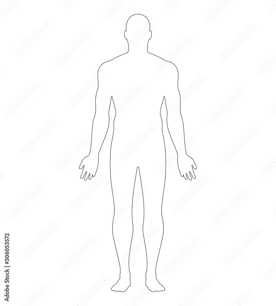 Anatomical Position Anterior View Male Body Vector Outline. Stock ...