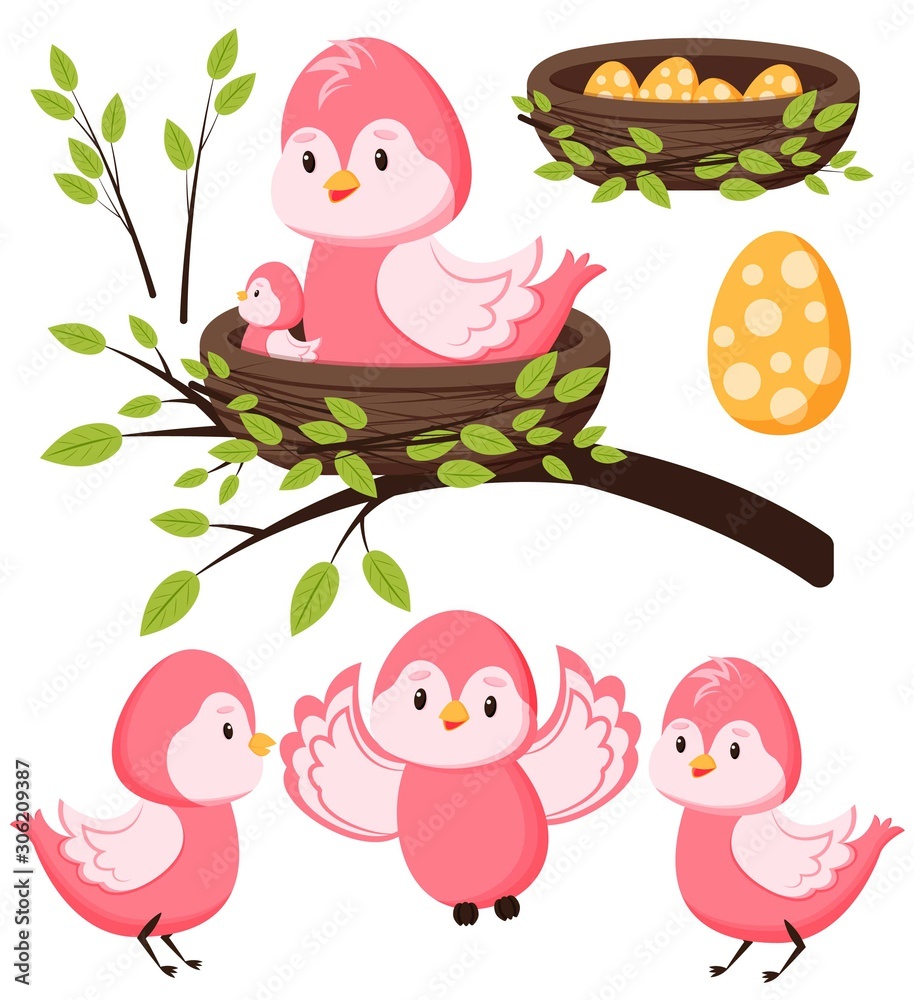 Spring set of elements. Birds, nests with eggs and Chicks, twigs with ...