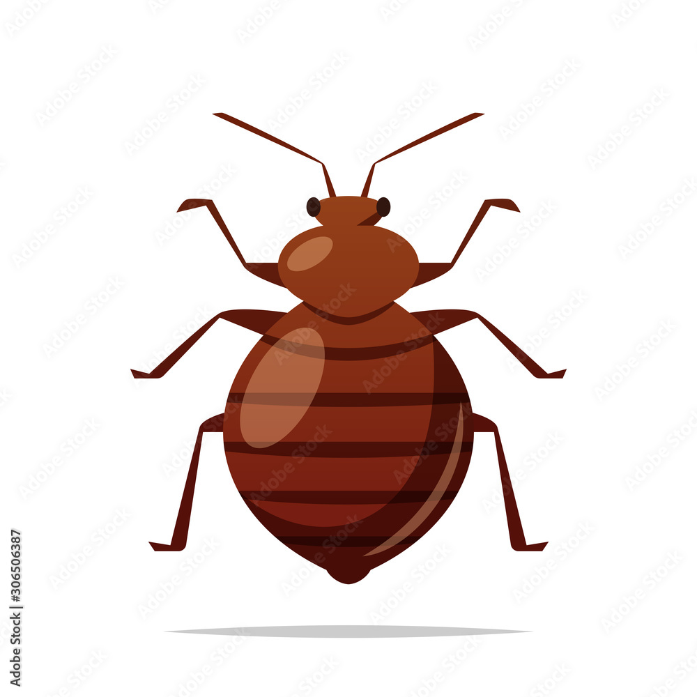 Bed bug vector isolated illustration Stock Vector | Adobe Stock