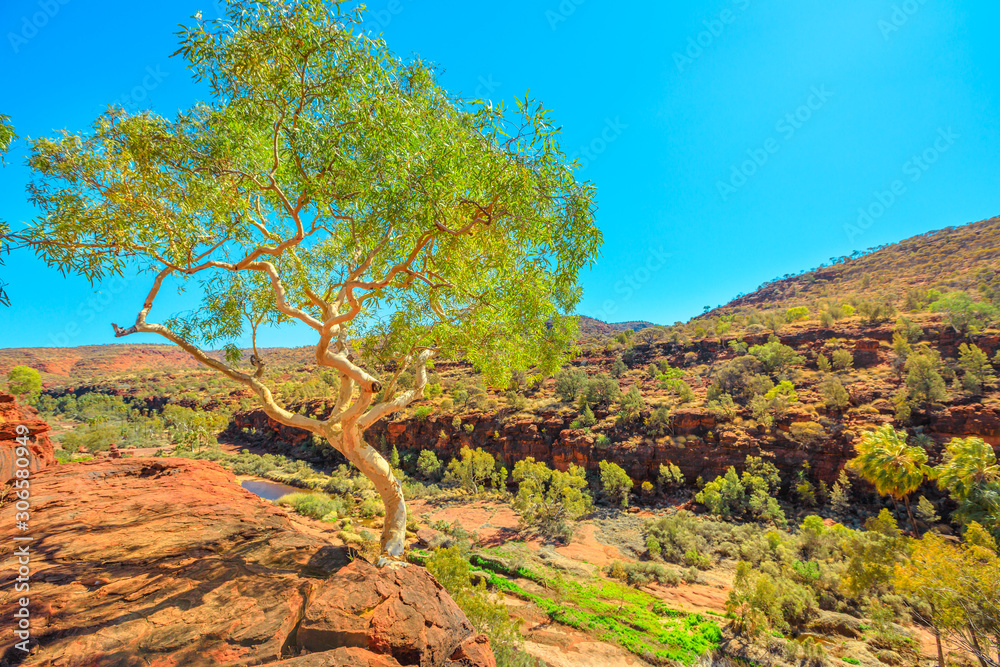 Finke Gorge National Park in Northern Territory, Central Australia ...