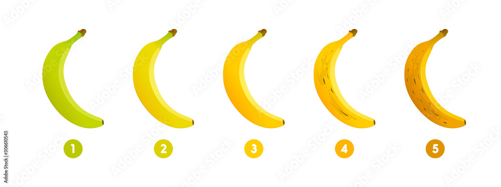 Banana ripeness. Stages of growth and ripening of banana fruit ...