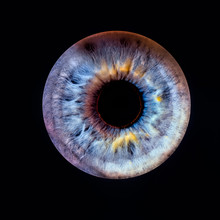 Eyeball Render Free Stock Photo - Public Domain Pictures
