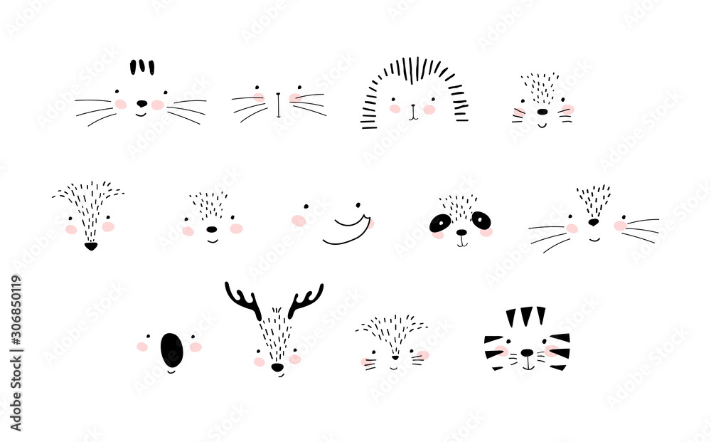 Collection of cute animal faces. Details of the portrait, nose, eyes ...