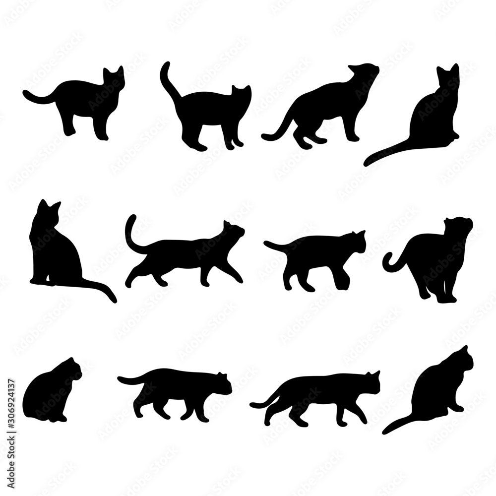 Isolated Cats on the white background. Cats silhouettes. Vector EPS 10 ...