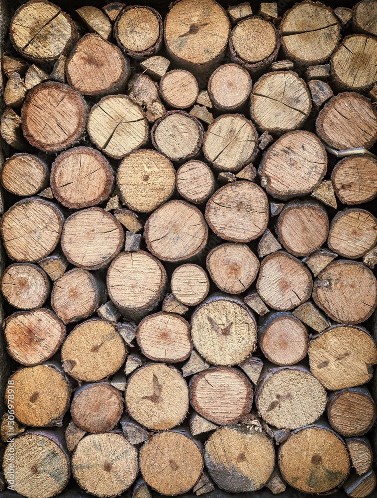 Abstract wooden background with a round slices of lumber. Natural ...