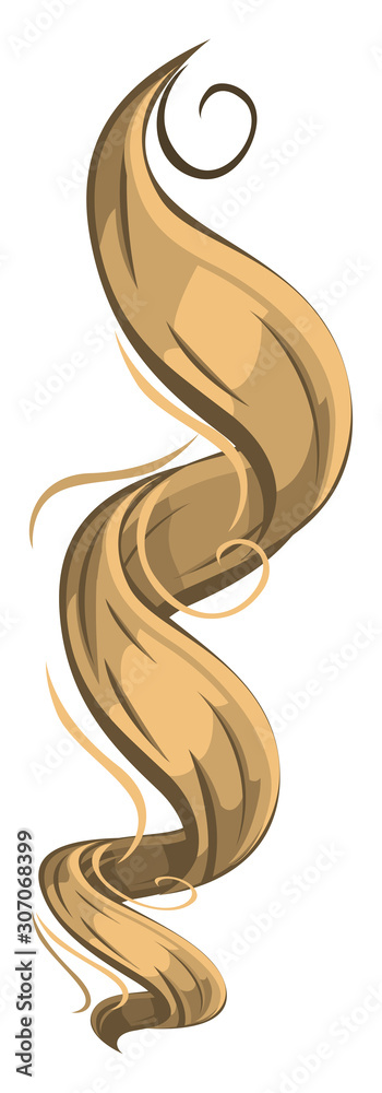 Locks of hair. Vector illustration isolated on a white background. Hair ...