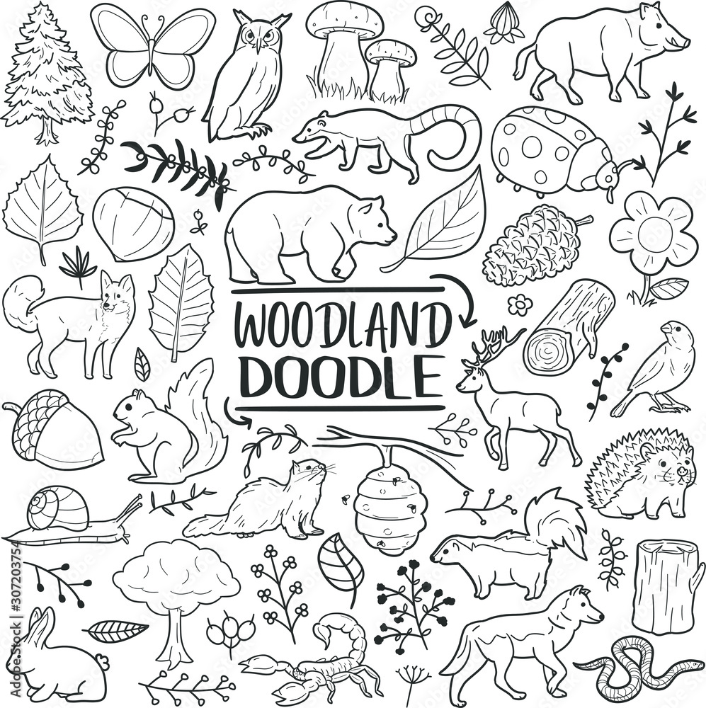Woodland Animals Forest Traditional Doodle Icons Sketch Hand Made ...