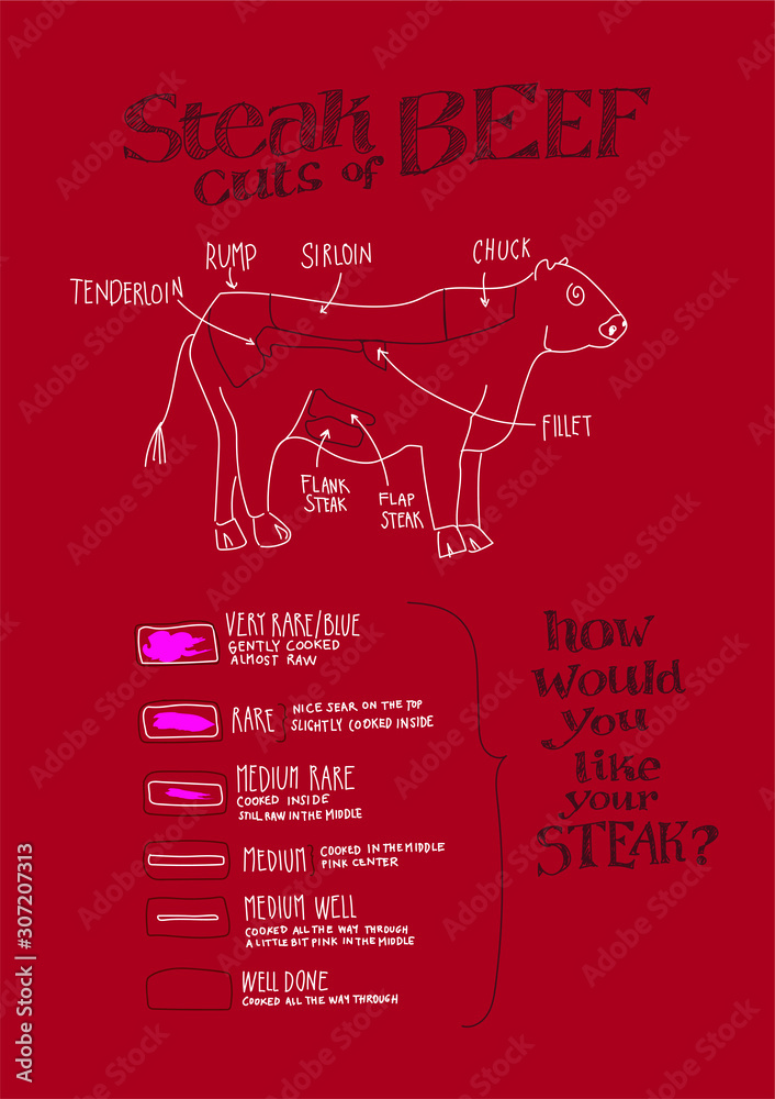 Hand drawn section beef cuts Stock Vector | Adobe Stock