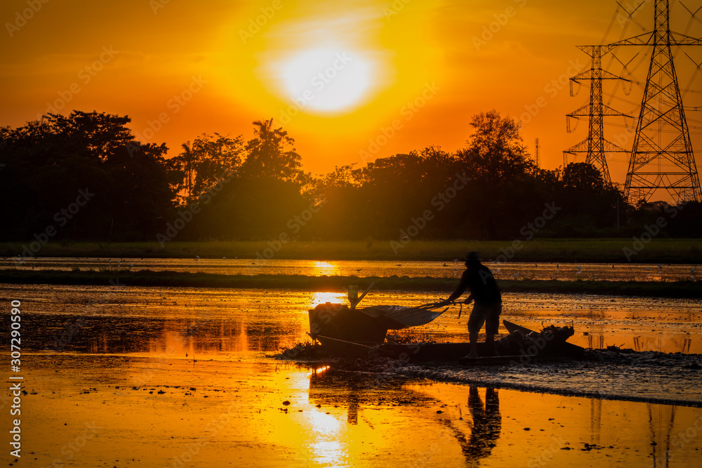 Farmer is ploughing soil for rice farming during big sunset and orange ...