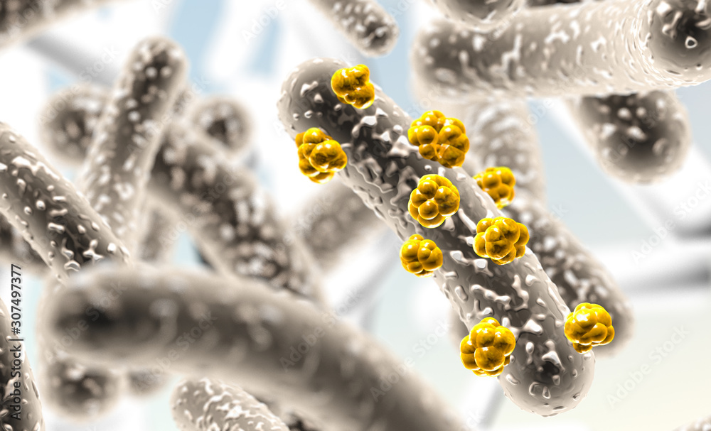 Microbacterias y organismos bacterianos. Fondo de la biología y la ...